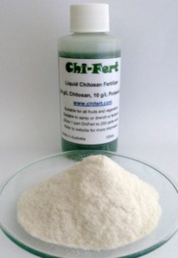 What is Chitosan